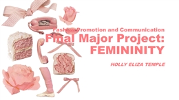 Initial ideas FMP PowerPoint Presentation PPT