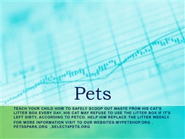Pets.pptx PowerPoint Presentation PPT